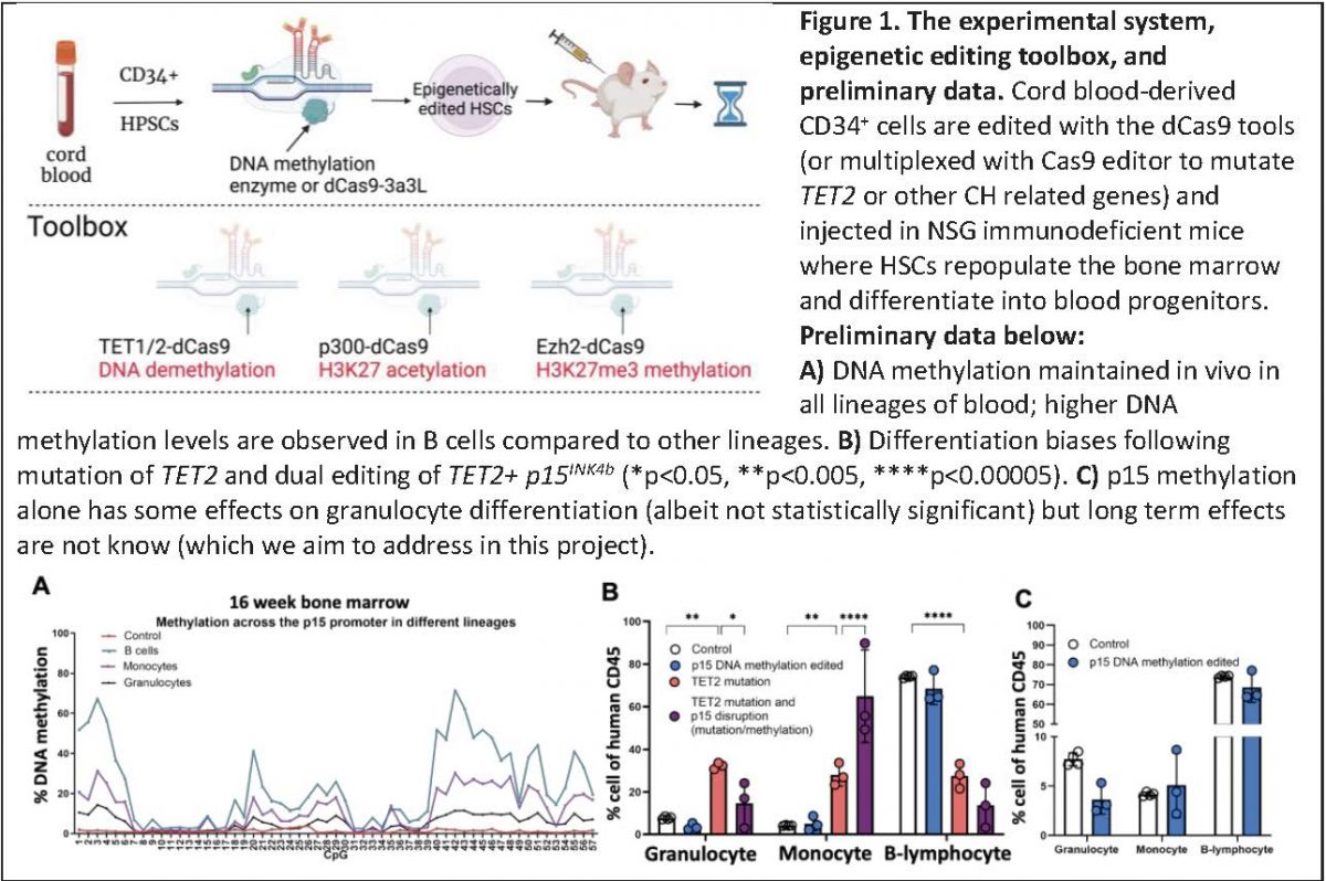 2023 PhD Project Ficz – CRUK – City Of London Cancer Centre