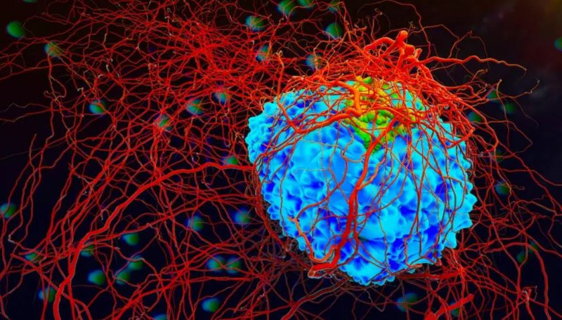 Events – CRUK – City Of London Cancer Centre