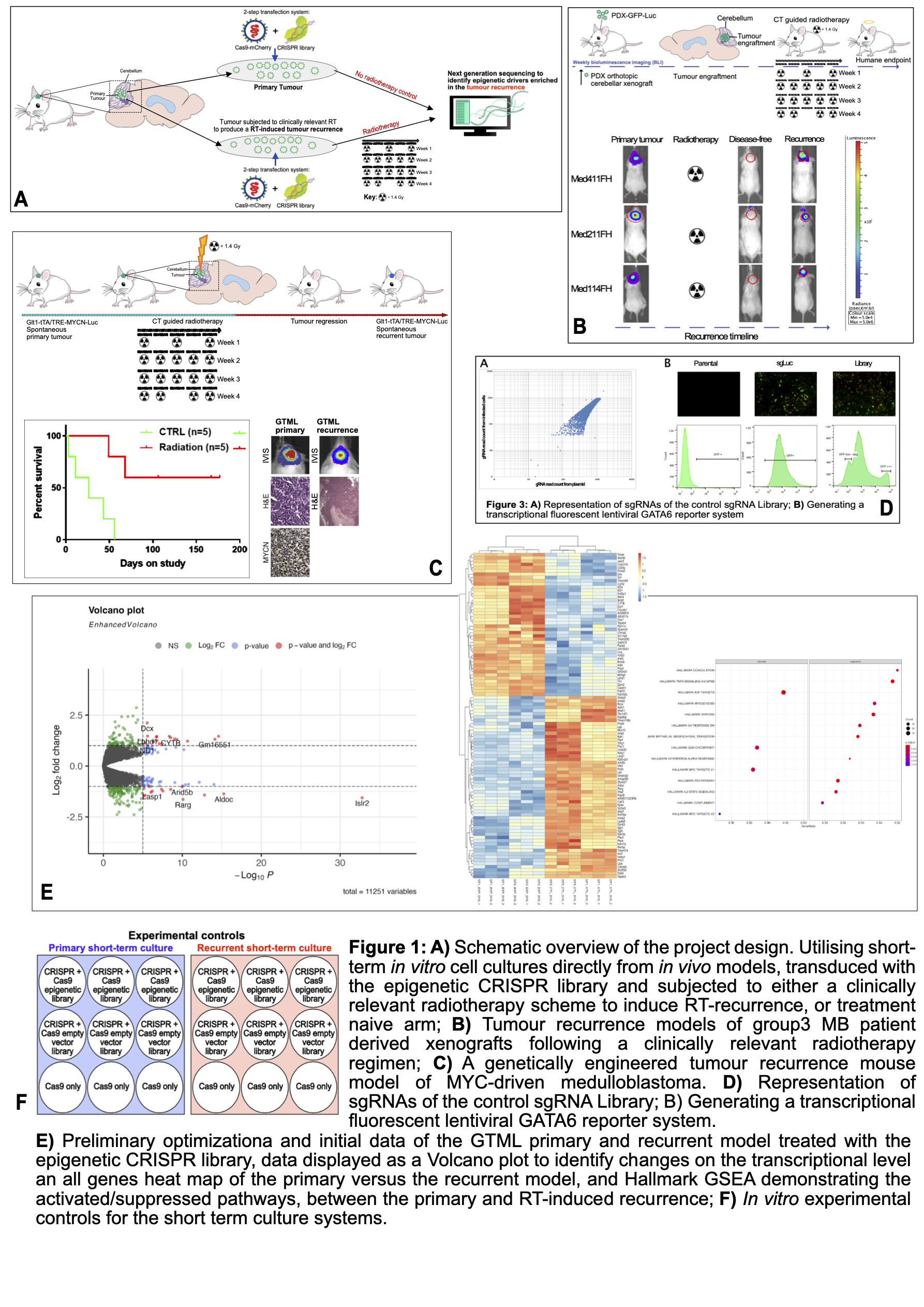 2024 CYP PhD Project Donovan – CRUK – City Of London Cancer Centre