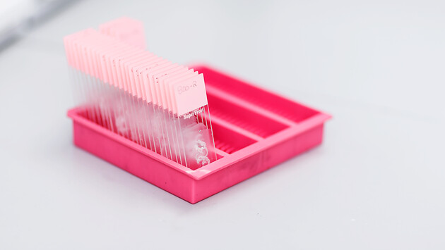 Events – CRUK – City Of London Cancer Centre