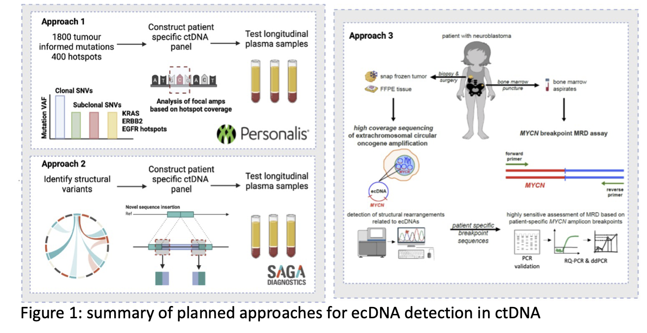 2025 MPhD project Jamal-Hanjani – CRUK – City Of London Cancer Centre