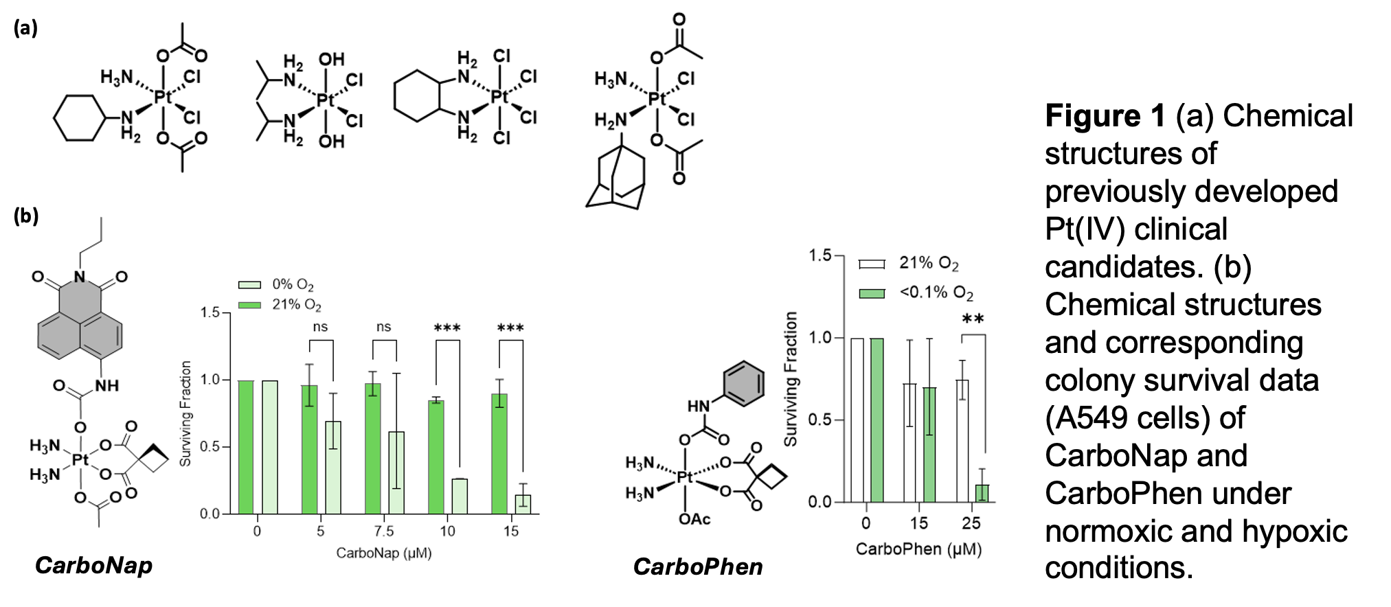 2025 CYP PhD project Tavassoli – CRUK – City Of London Cancer Centre